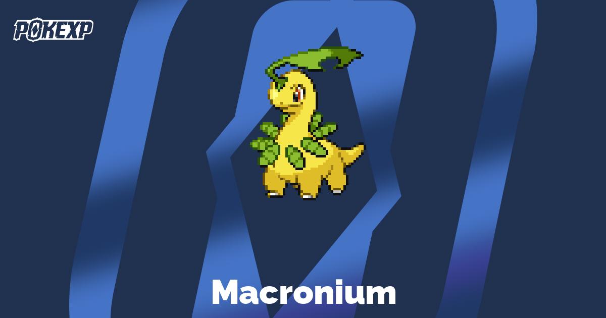 Fiche Pokédex du Pokémon Macronium - PokExp