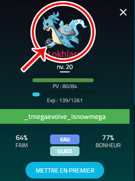 Mega-Evolutions - Guide PokExp