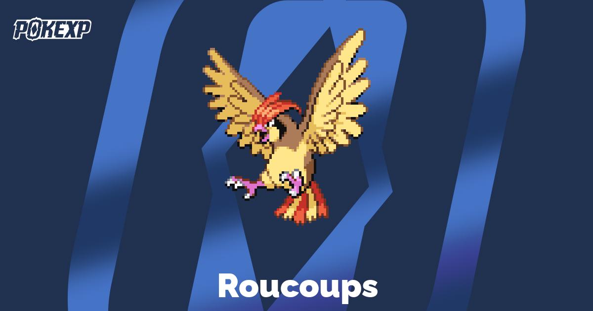 Fiche Pokédex du Pokémon Roucoups - PokExp