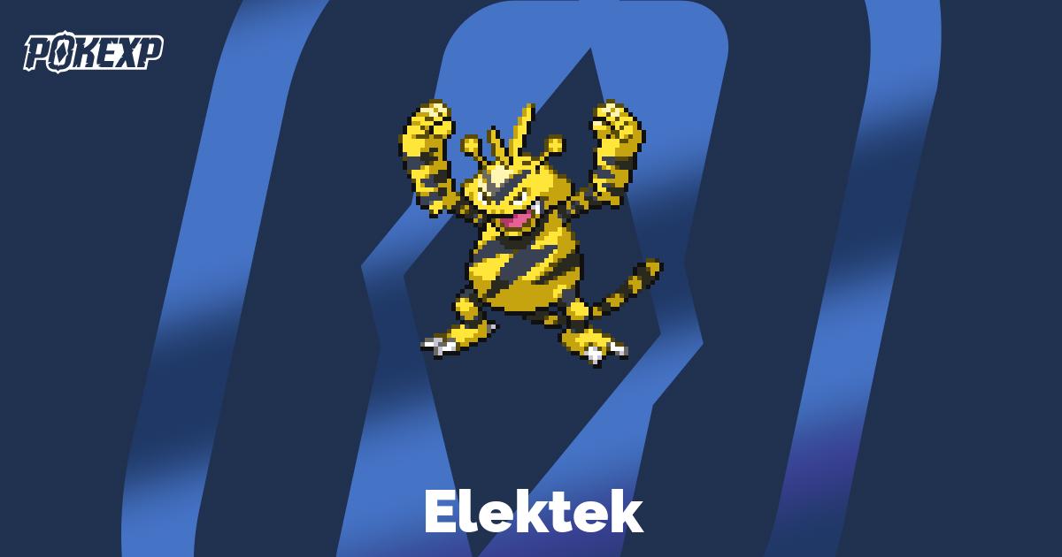 Fiche Pokédex du Pokémon Elektek - PokExp