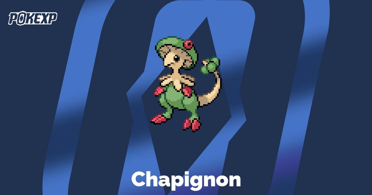 Fiche Pokédex du Pokémon Chapignon - PokExp