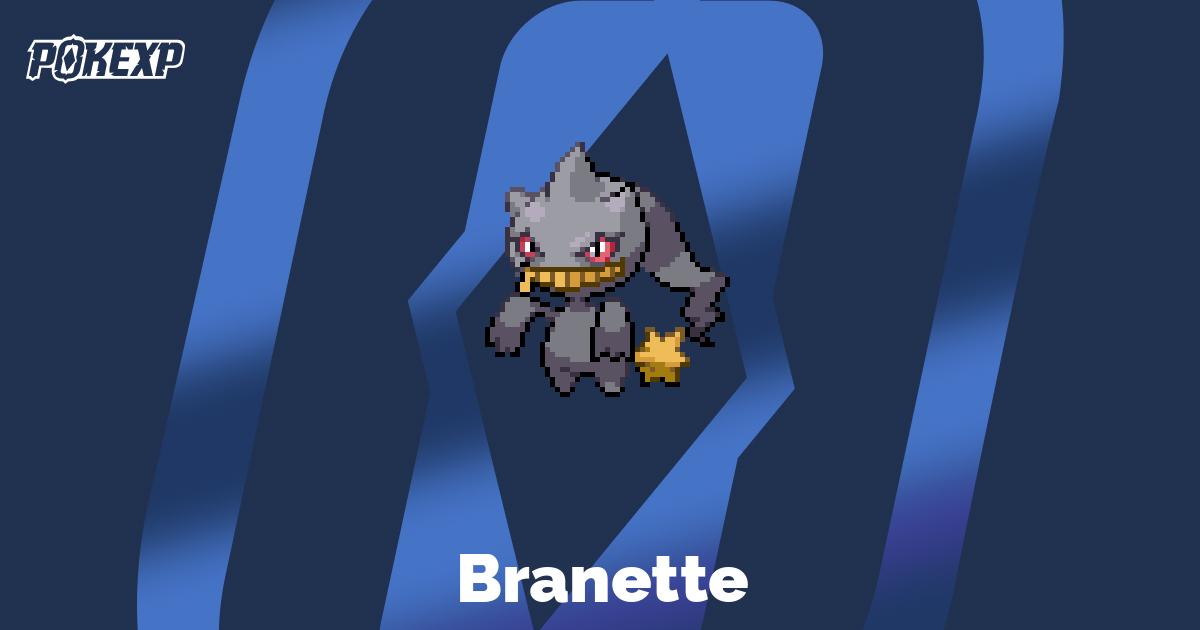 Fiche Pokédex du Pokémon Branette - PokExp