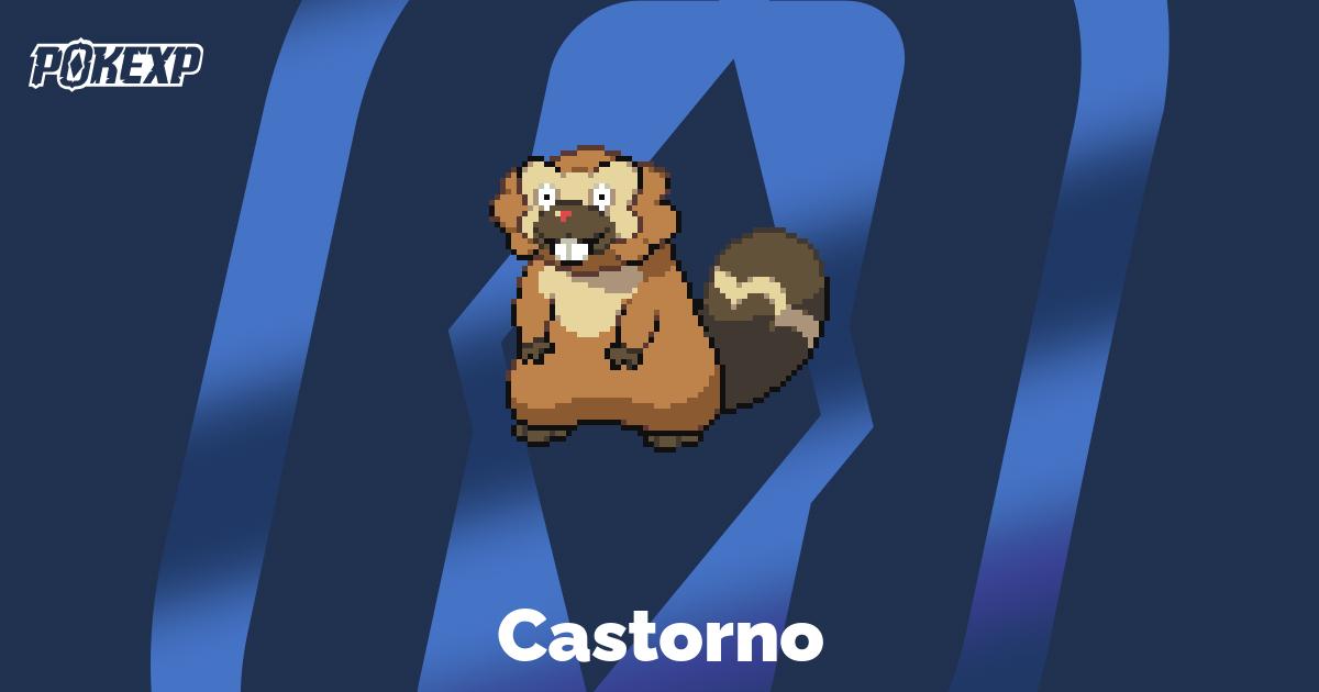Fiche Pokédex du Pokémon Castorno - PokExp