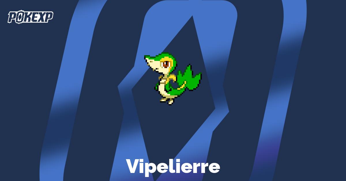 Fiche Pokédex du Pokémon Vipelierre - PokExp