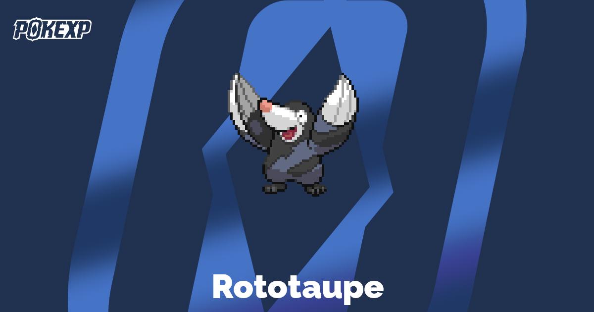 Fiche Pokédex du Pokémon Rototaupe - PokExp
