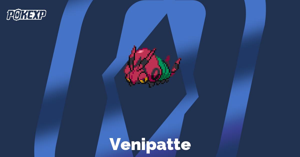 Fiche Pokédex du Pokémon Venipatte - PokExp
