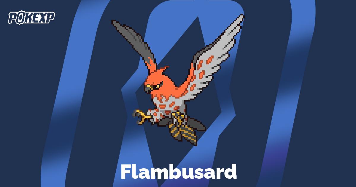 Fiche Pokédex du Pokémon Flambusard - PokExp