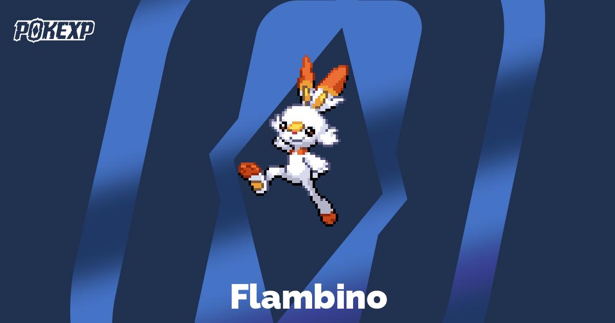 Fiche Pokédex du Pokémon Flambino - PokExp